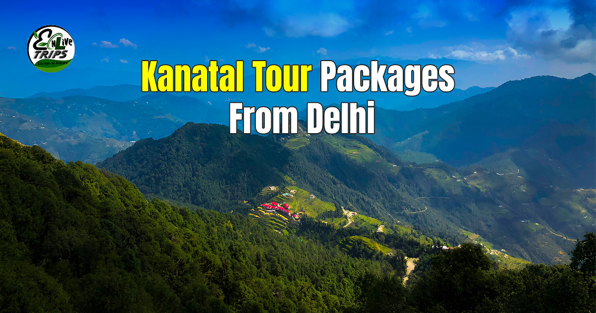 Kanatal Complete Travel Guide: A Hidden Gem in the Garhwal Himalaya