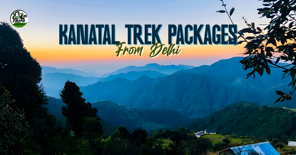 Best Time to Visit Kanatal: A Complete Travel Guide - EnliveTrips